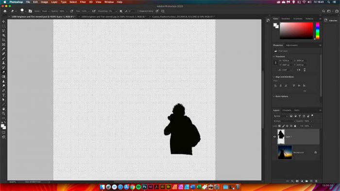 All the Essential Techniques for Silhouette Photography to Create ...
